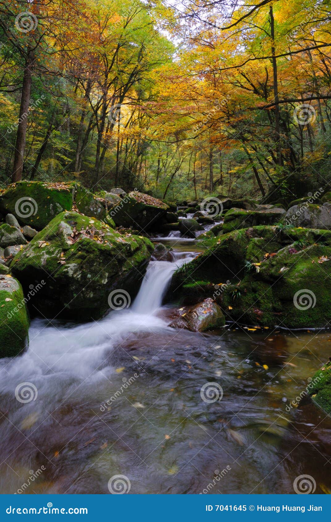 In the fall of the stream stock image. Image of breath - 7041645