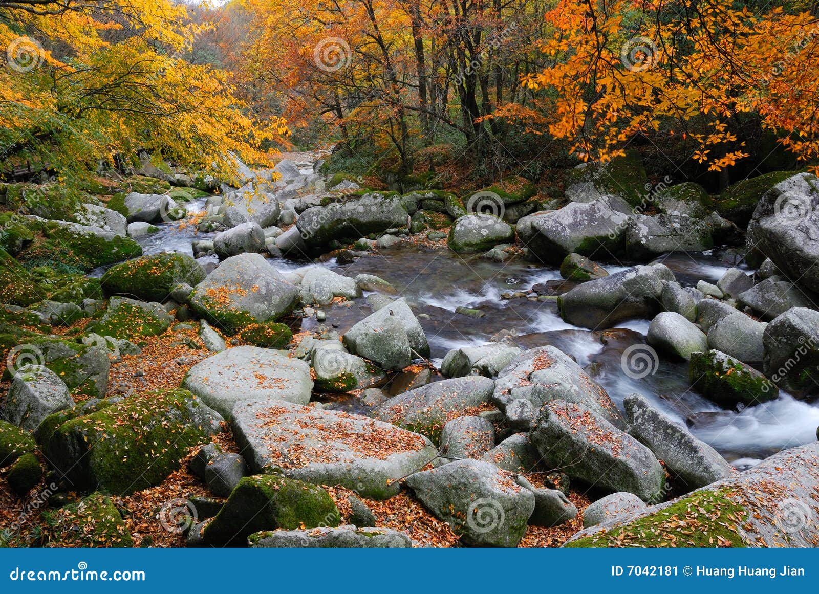 In the fall of the stream stock image. Image of green - 7042181
