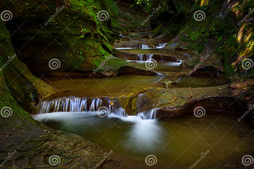 Fall Stream stock photo. Image of north, foliage, forest - 60441516