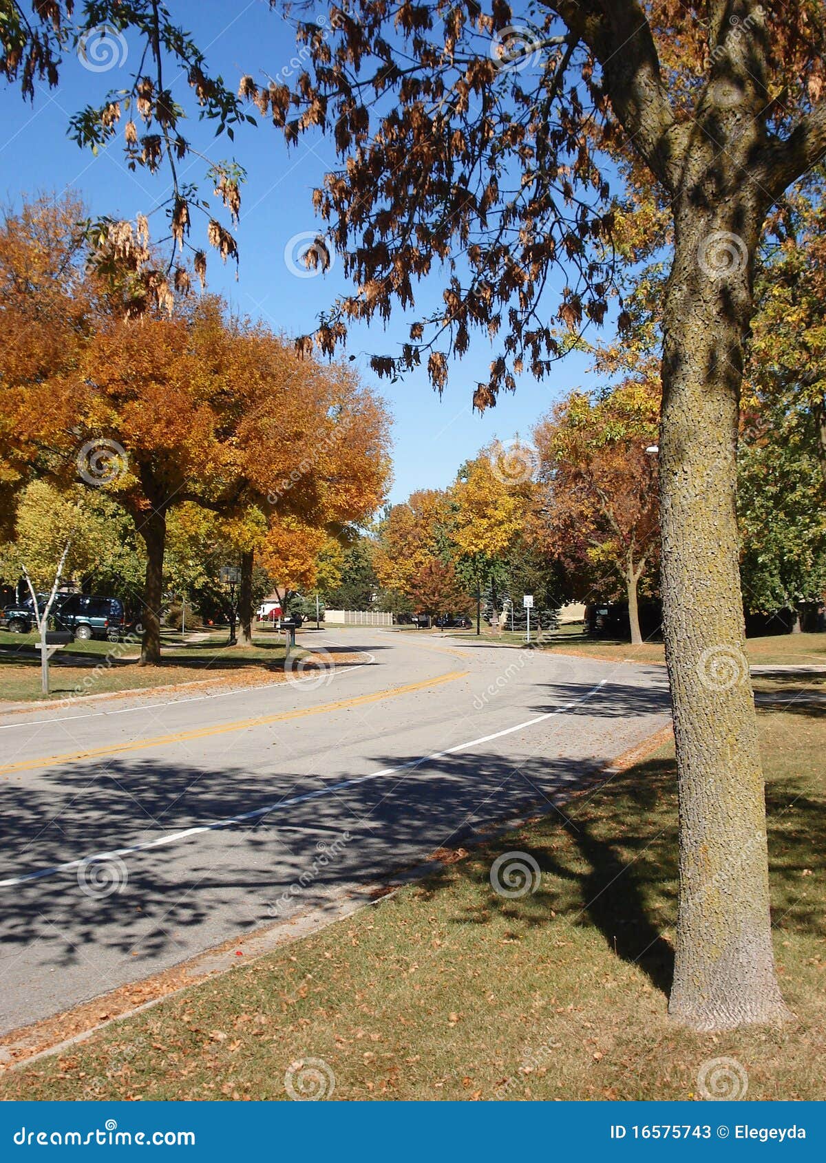 Fall street stock image. Image of neighborhood, lifestyle - 16575743