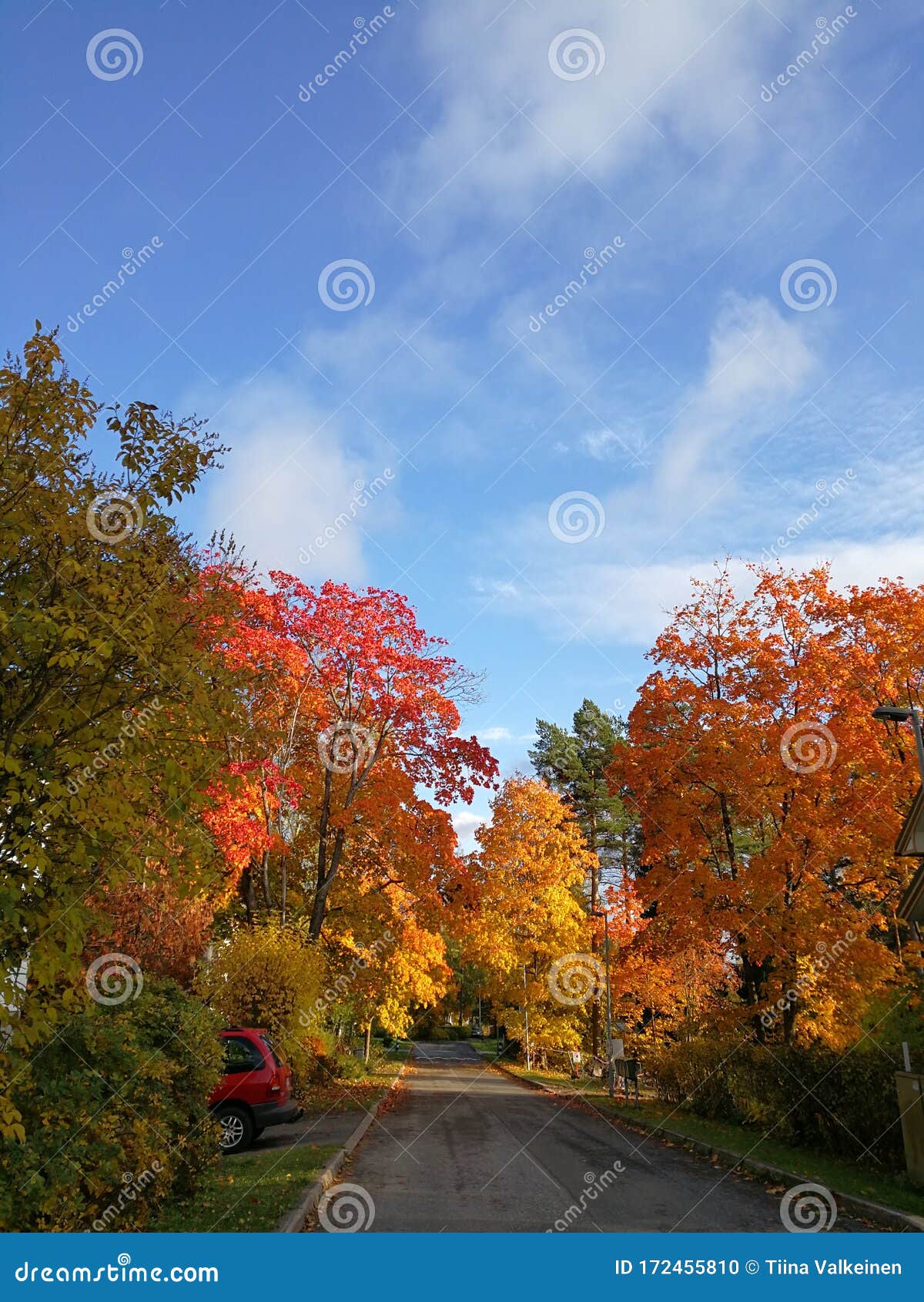 Fall street blue sky stock photo. Image of blue, autumn - 172455810