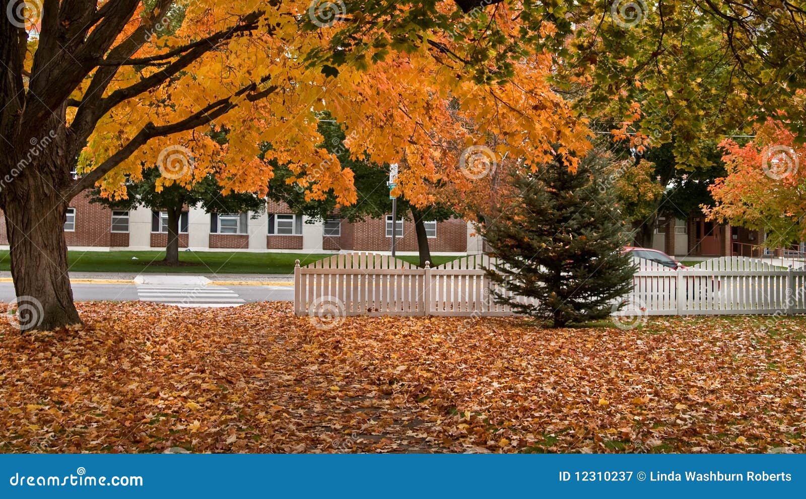Fall street scene stock image. Image of colors, building - 12310237