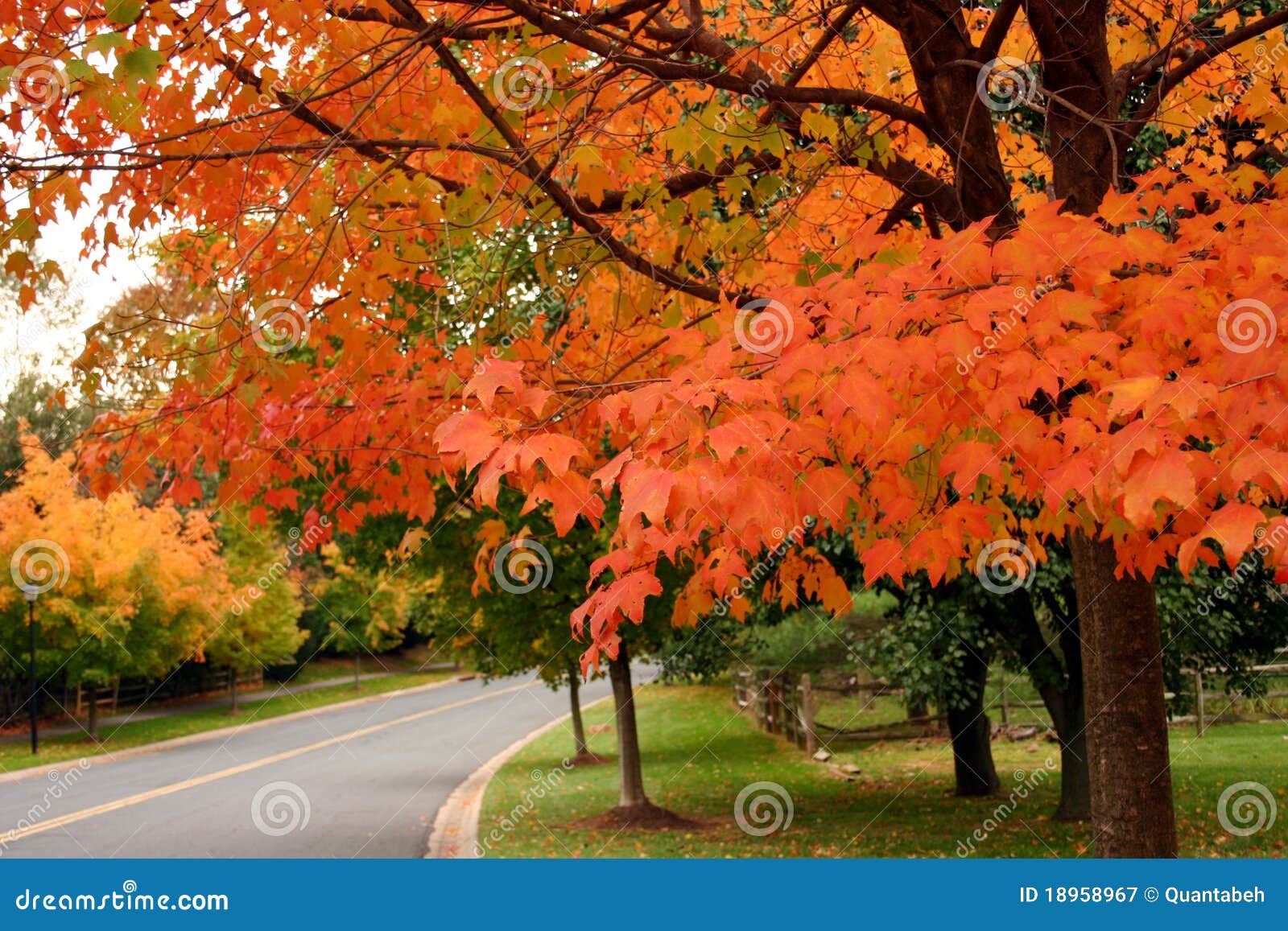 Fall in the suburb stock image. Image of neighborhood - 18958967