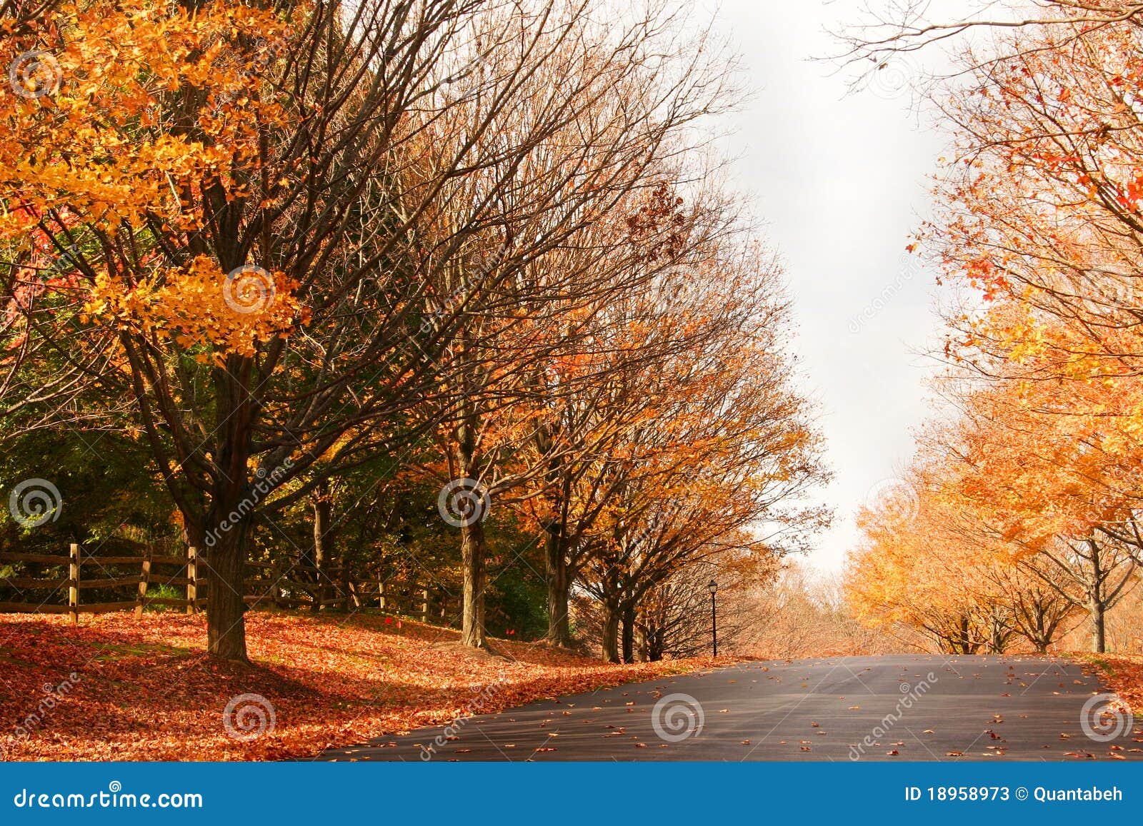 Fall in the suburb stock image. Image of street, colors - 18958973
