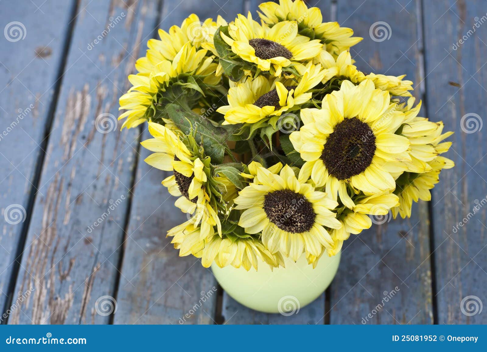 Fall Sunflowers stock photo. Image of color, weathered - 25081952
