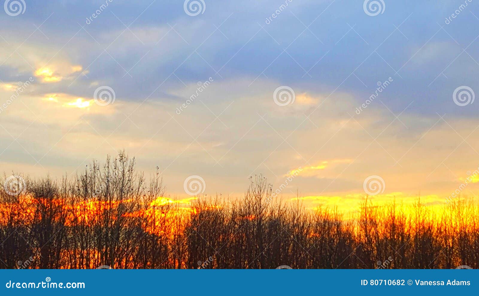 Fall sunrise stock photo. Image of nature, colorful, sunrise - 80710682