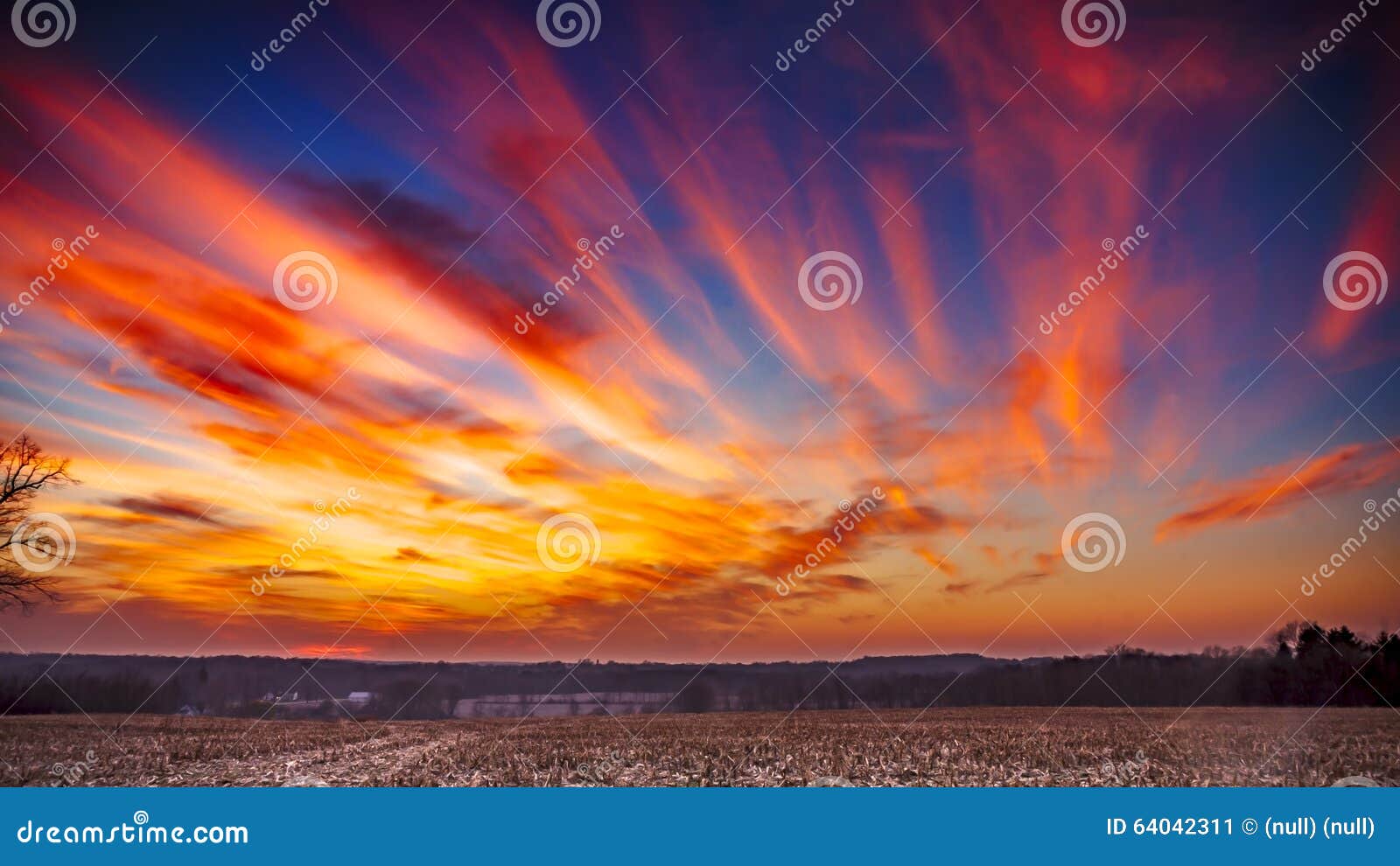 Fall Sunset stock image. Image of sunset, yellow, country - 64042311