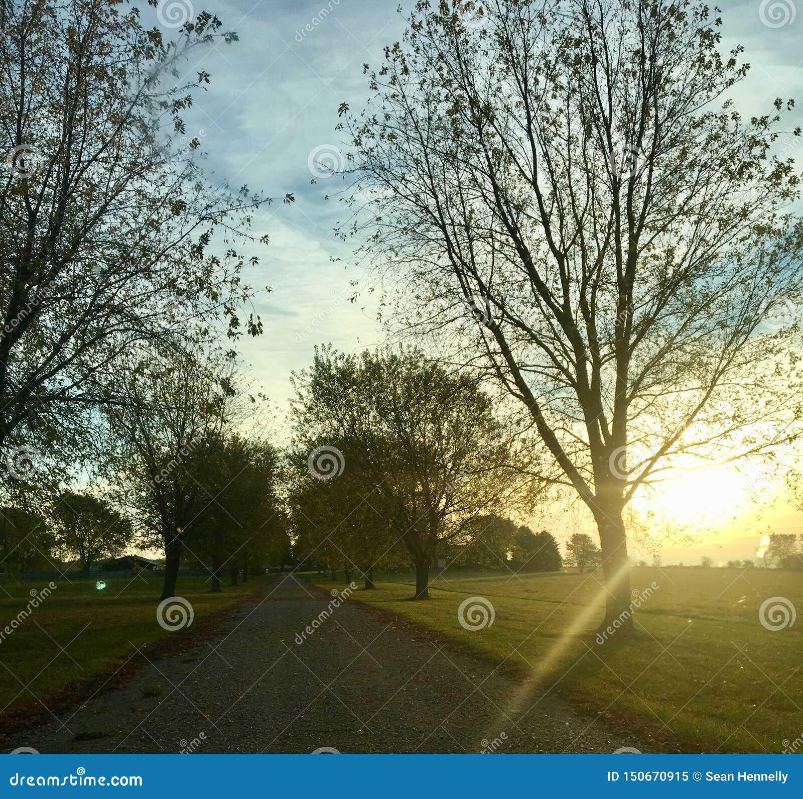 Fall Sunset stock image. Image of sunset, fall, trees - 150670915