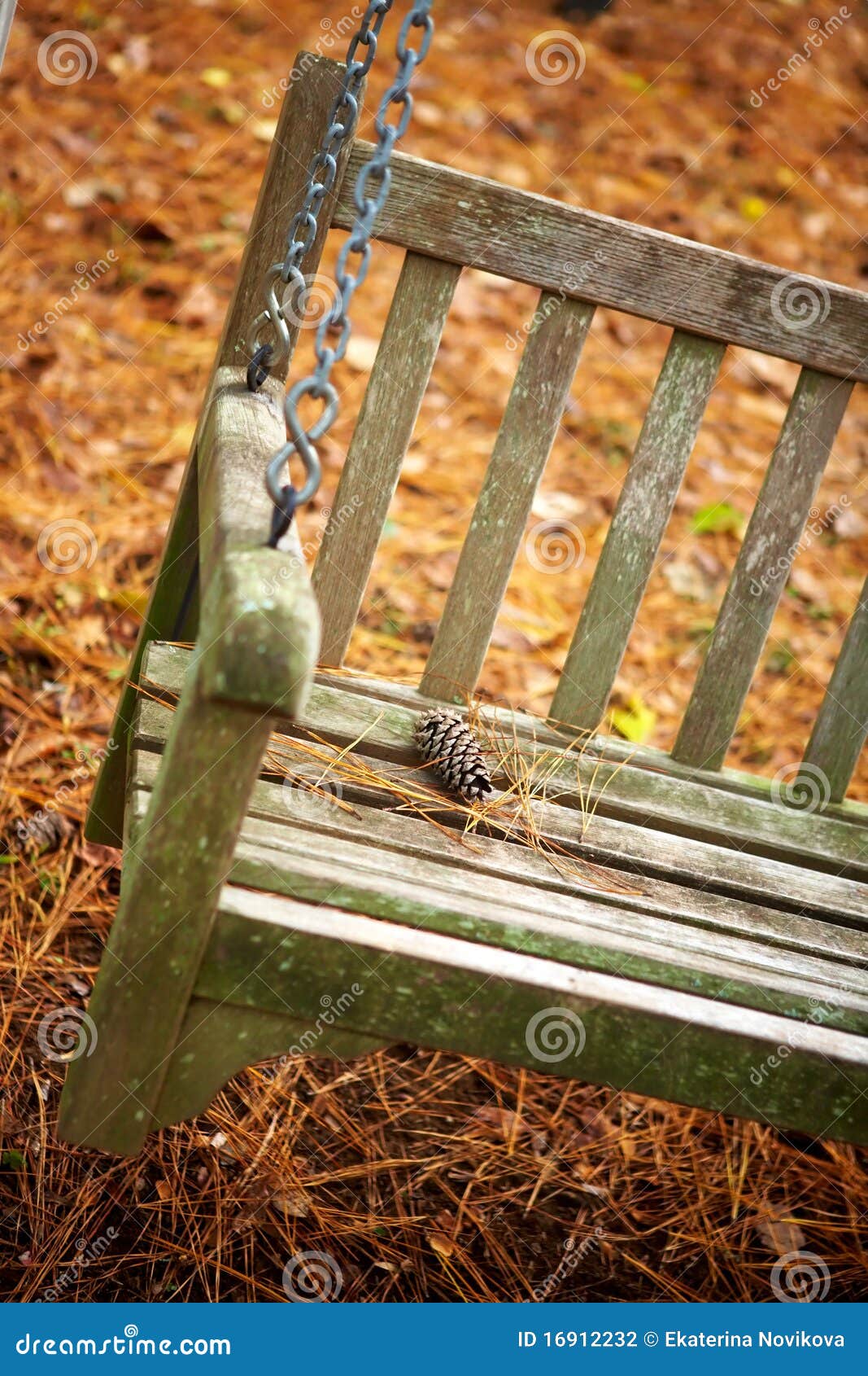 FALL SWING stock photo. Image of fall, swing, cone, wooden - 16912232