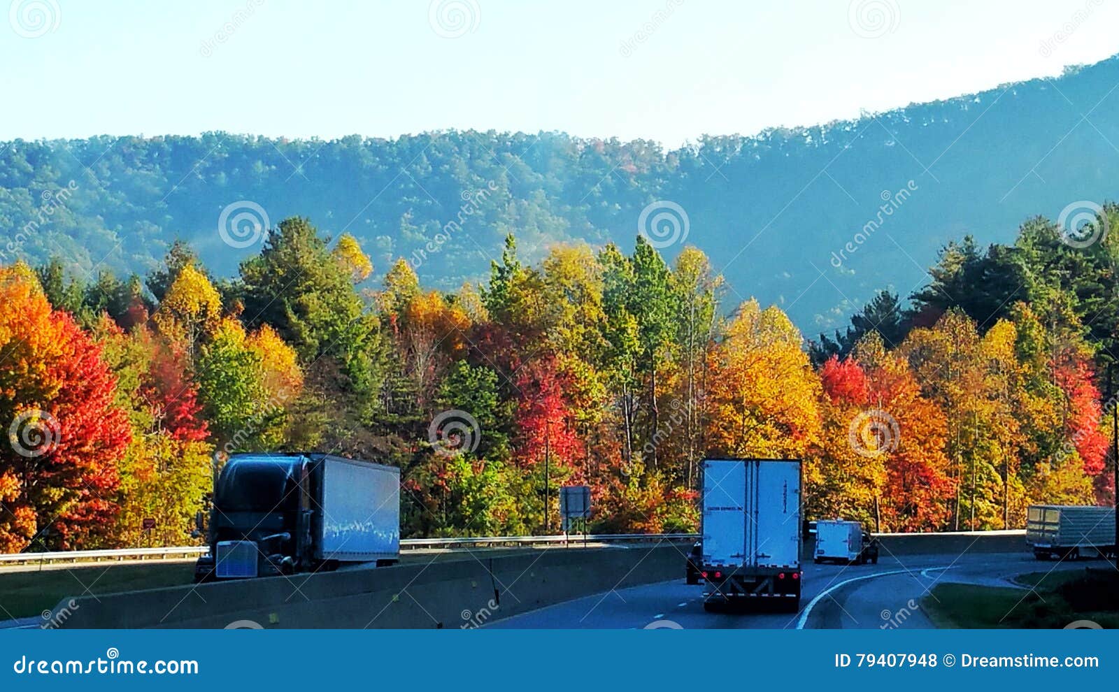 Fall Tennessee stock photo. Image of tennessee, trees - 79407948