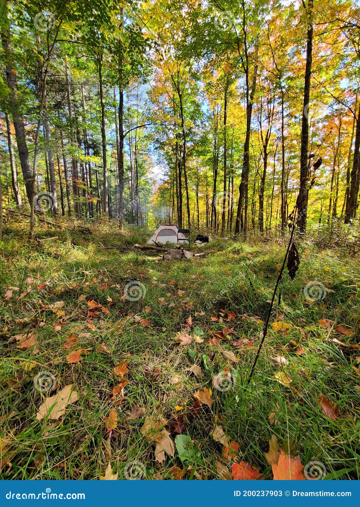 Fall tent camping stock image. Image of reflection, tree - 200237903