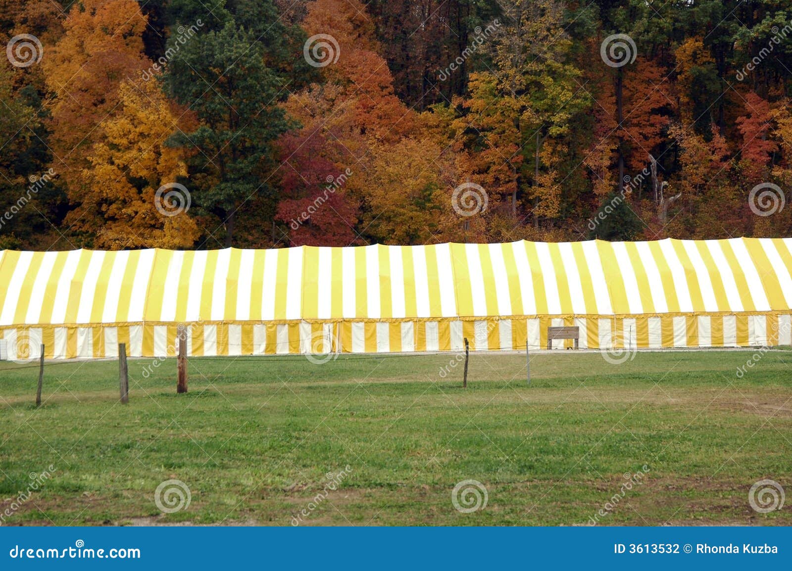 Fall Tent Festival stock photo. Image of cone, colourful - 3613532