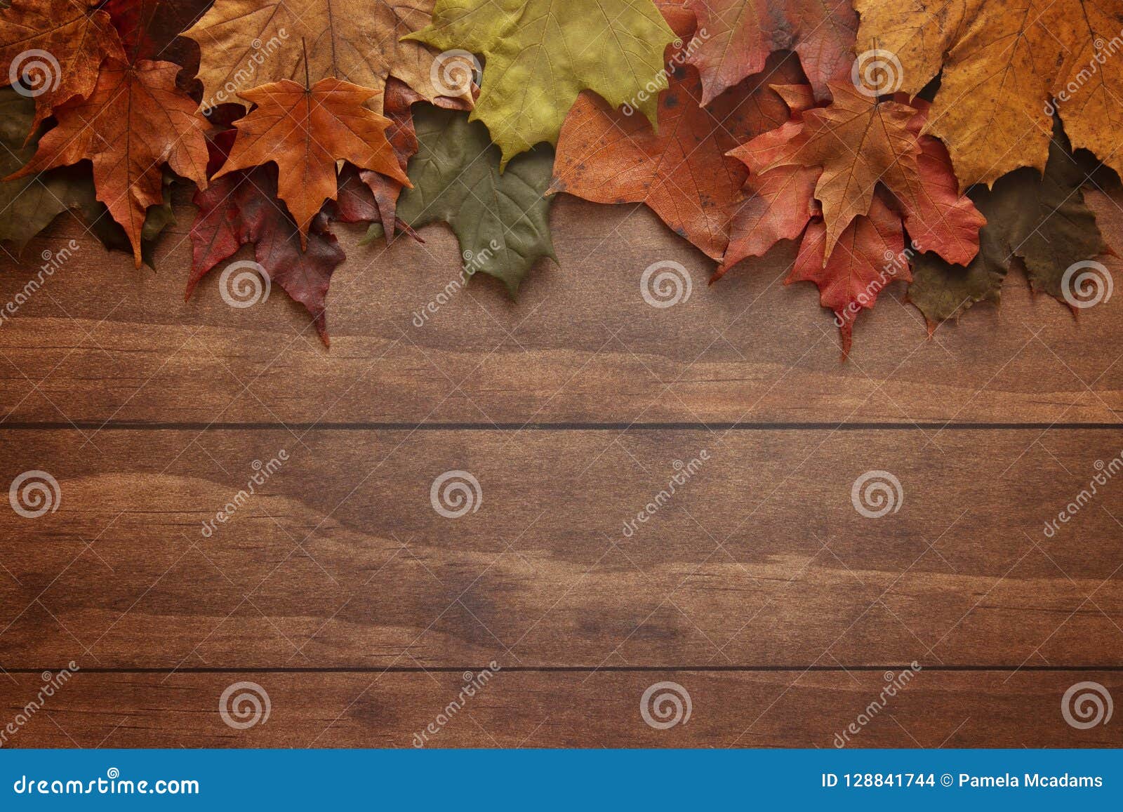 Fall Themed Background on a Wooden Surface Stock Photo - Image of ...