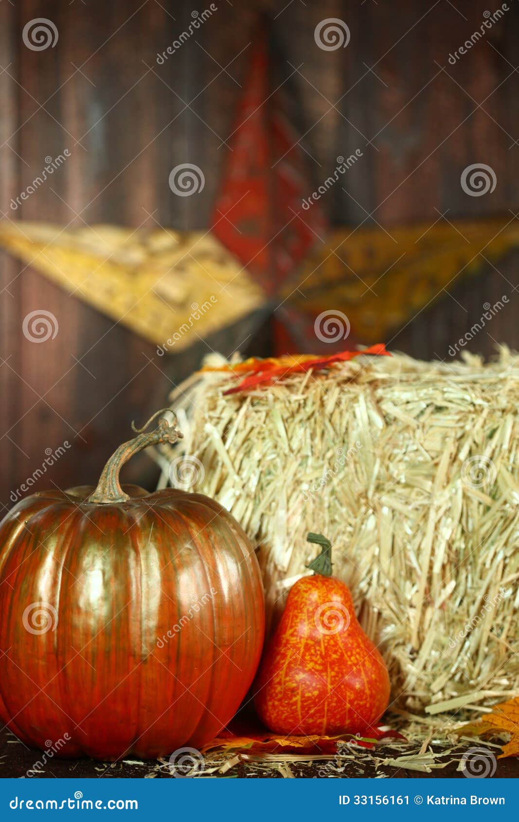 Fall Themed Scene with Pumpkins on Wood Stock Image - Image of ...