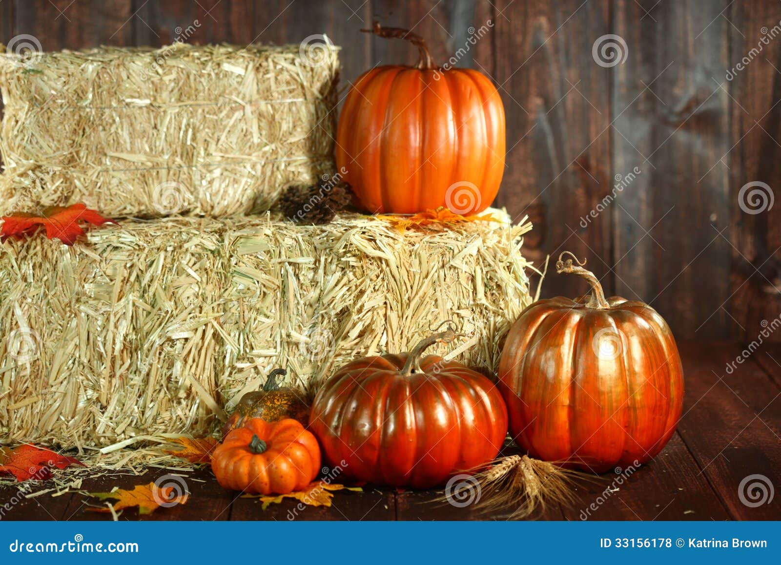 Fall Themed Scene with Pumpkins on Wood Stock Photo - Image of ...