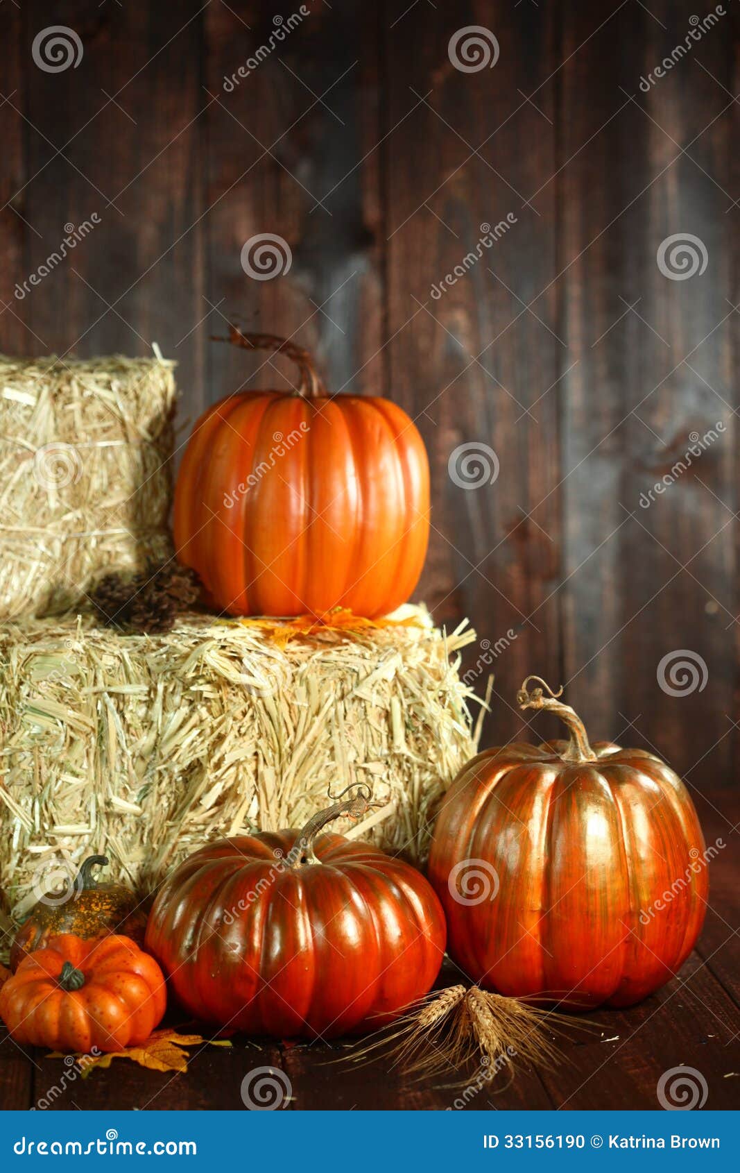 Fall Themed Scene with Pumpkins on Wood Stock Photo - Image of ...