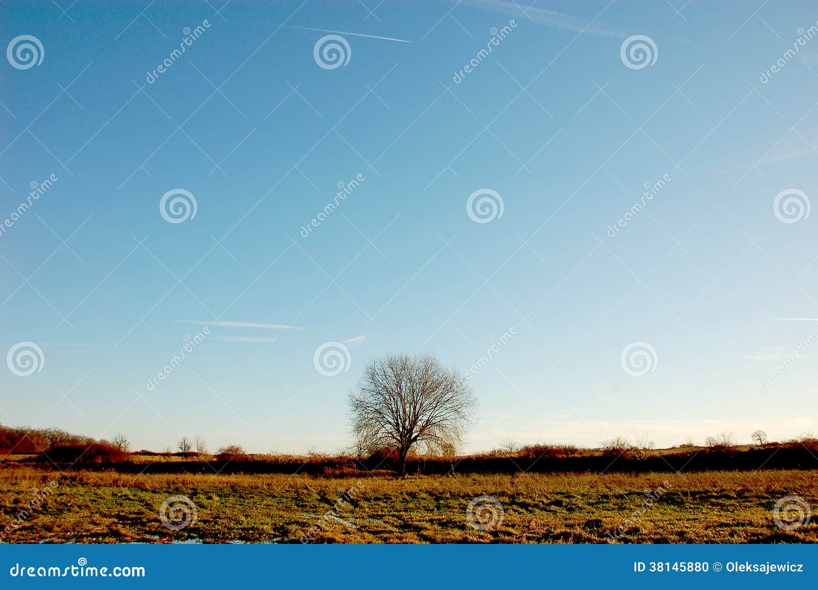 Fall Time, Fields, Rural Landscape Stock Photo - Image of river, polish ...
