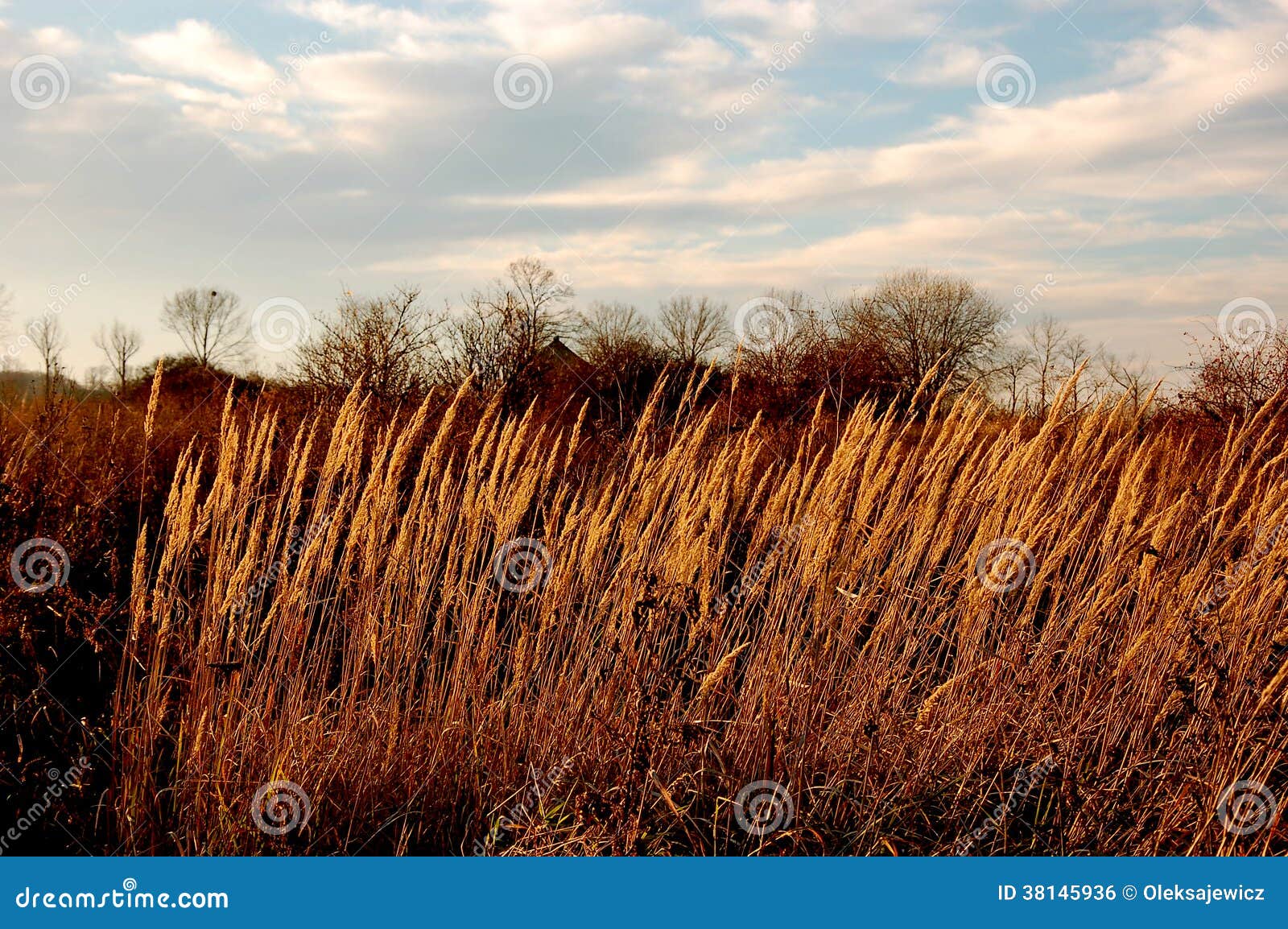 Fall Time, Fields, Rural Landscape Stock Photo - Image of city, idyllic ...
