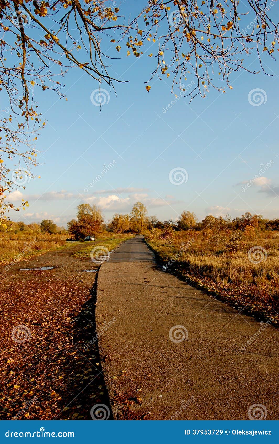 Fall Time, Fields, Rural Landscape Stock Image - Image of natural ...