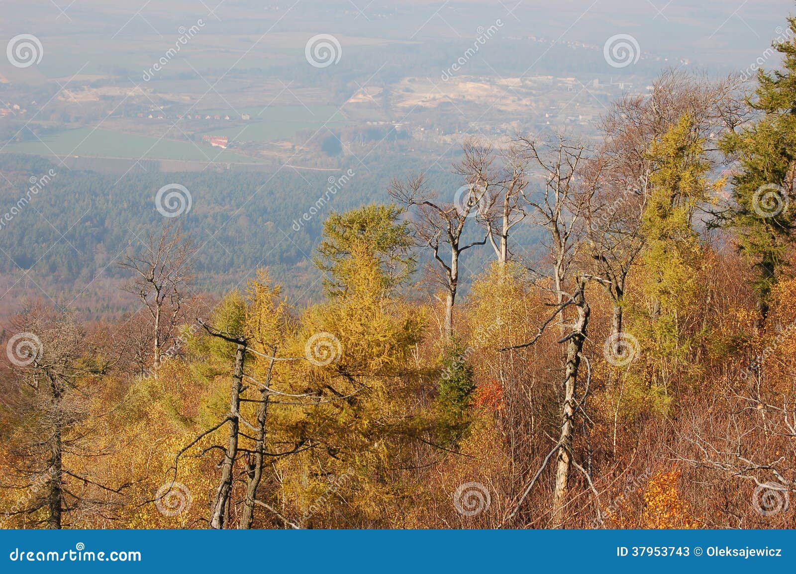 Fall Time, Fields, Rural Landscape Stock Image - Image of flowers ...