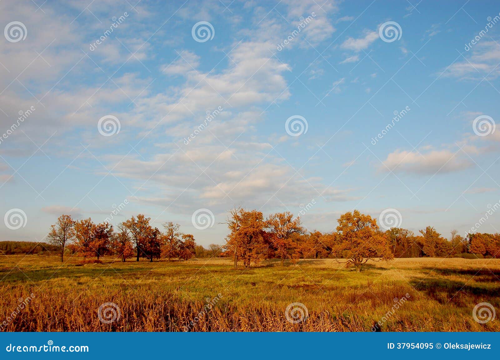 Fall Time, Fields, Rural Landscape Stock Image - Image of idyllic ...