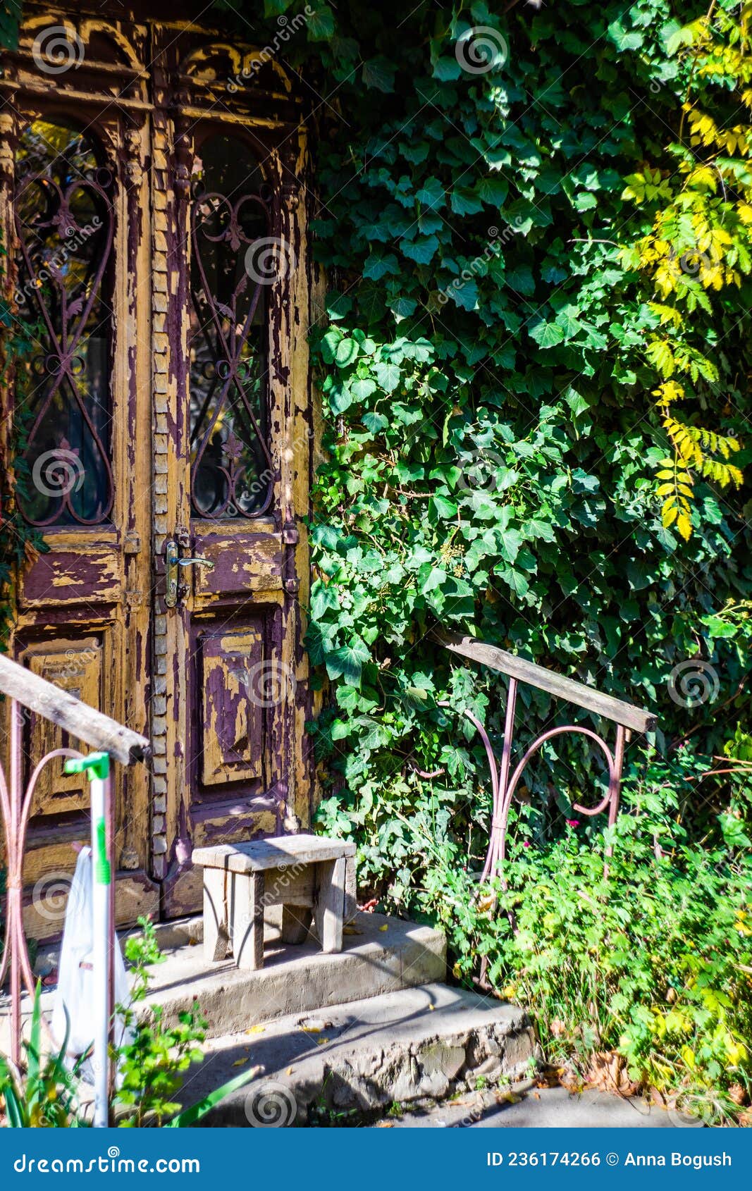 Fall time in Old Tbilisi stock photo. Image of concept - 236174266