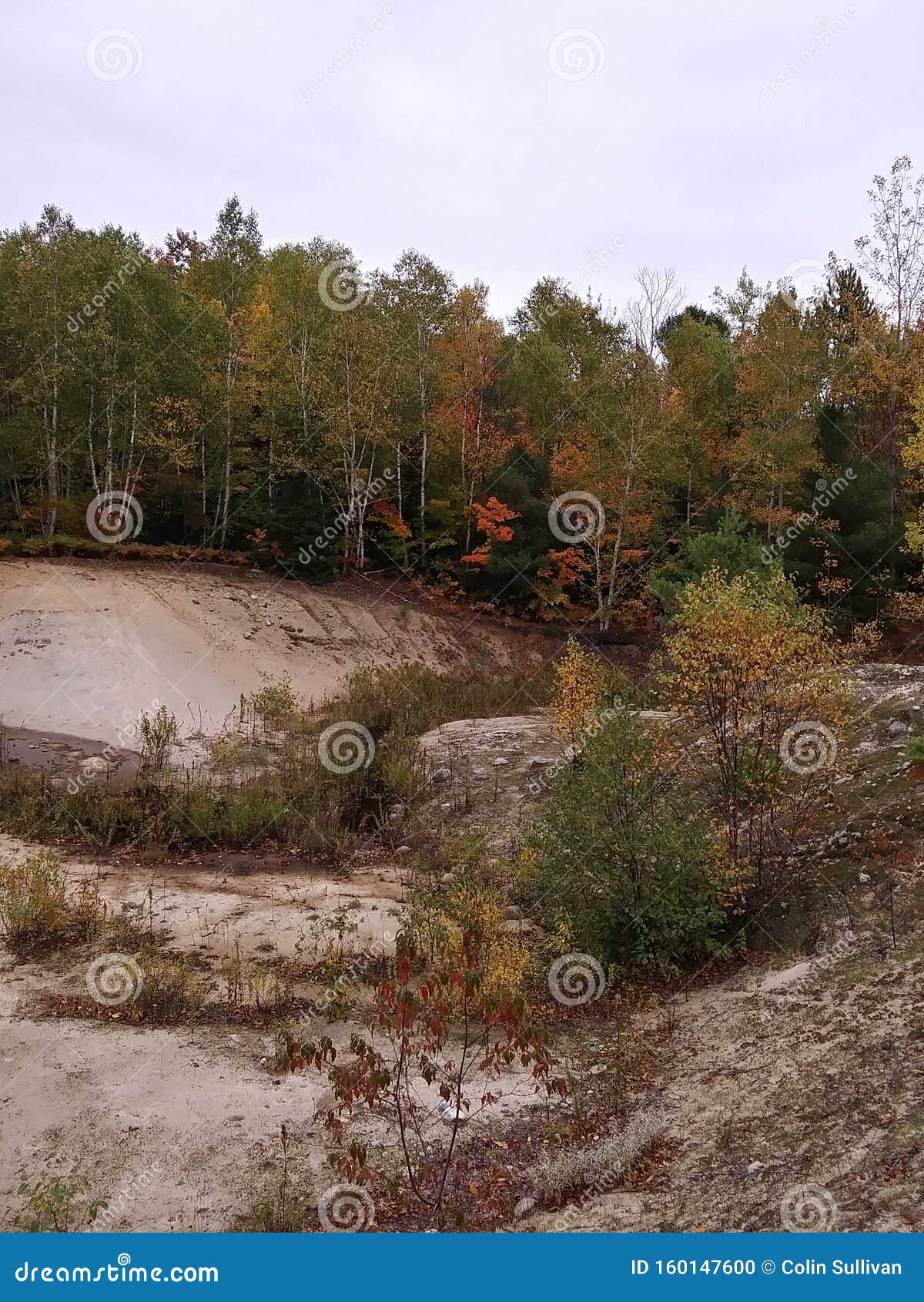 2,386 Fall Pit Stock Photos - Free & Royalty-Free Stock Photos from ...