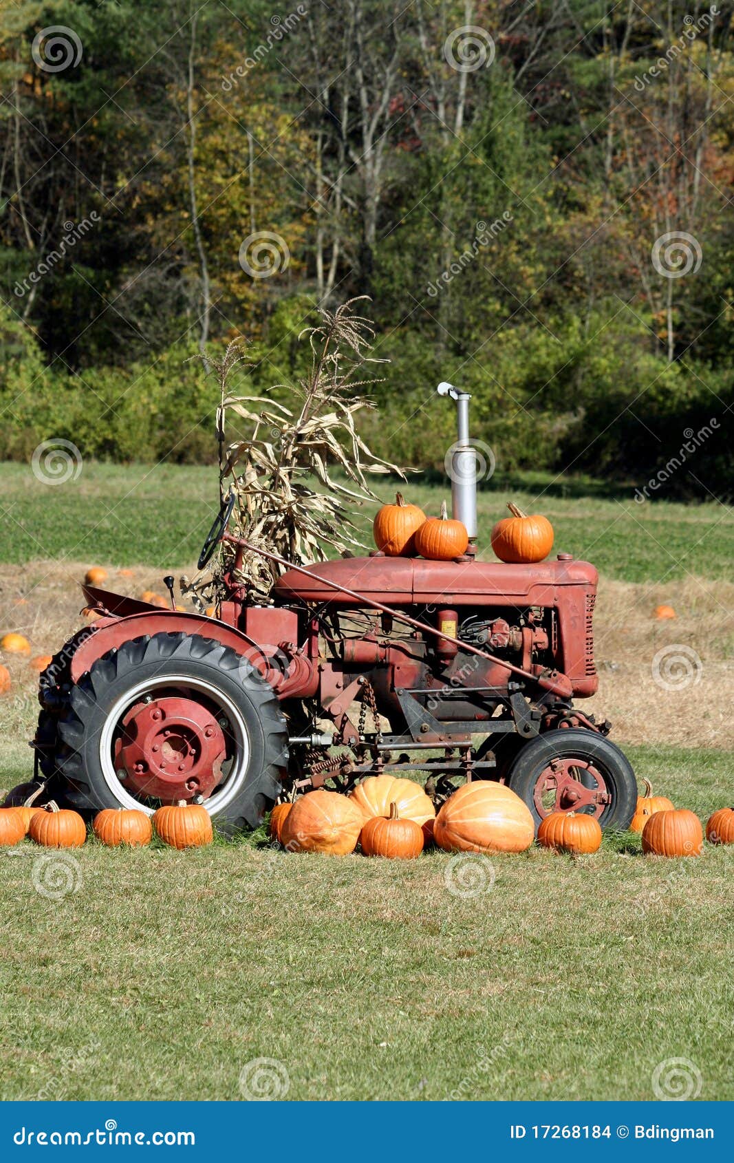 Fall Tractor stock photo. Image of bright, squash, harvest - 17268184