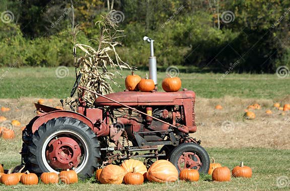 Fall Tractor stock photo. Image of color, bdingman, trees - 17268552