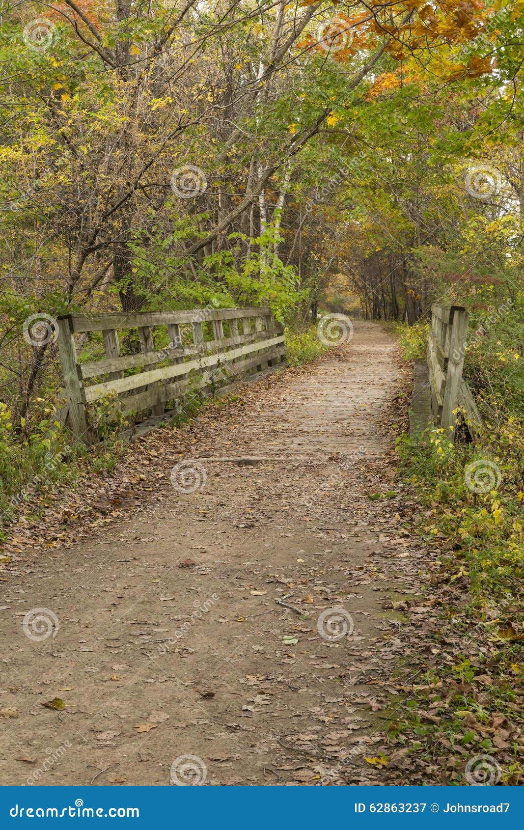Fall Trail Scenic stock image. Image of explore, scenic - 62863237