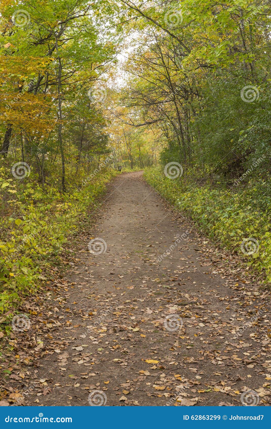 Fall Trail Scenic stock image. Image of hike, outdoors - 62863299