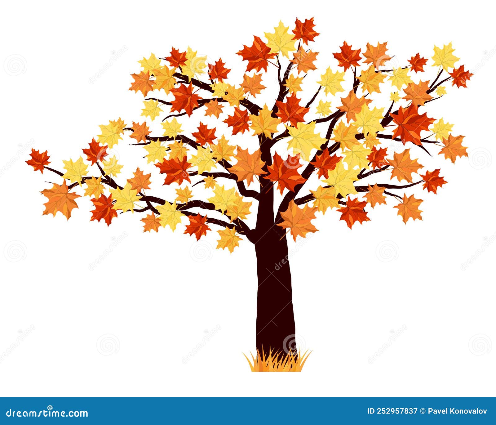 Fall Tree stock vector. Illustration of outdoor, beauty - 252957837