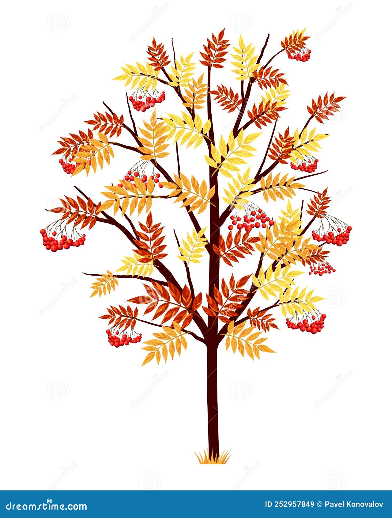 Fall Tree stock vector. Illustration of branch, natural - 252957849