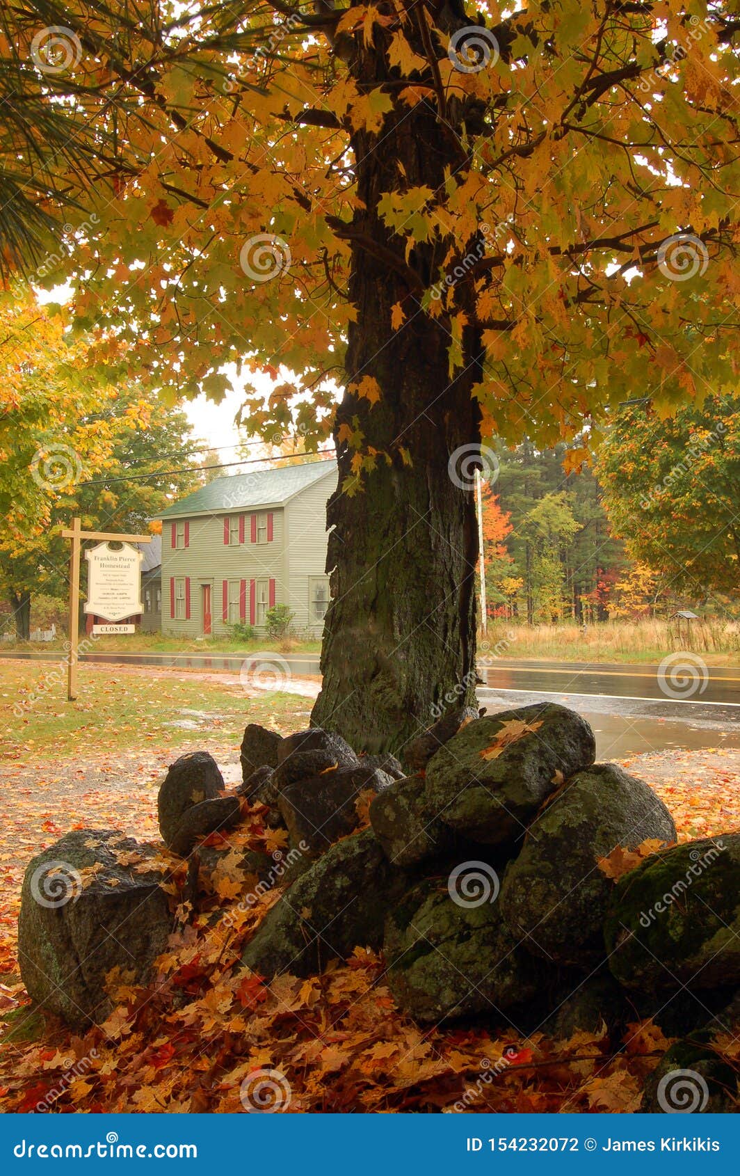 A Fall Tree Frames the Homes in a Historic Small Town Editorial ...