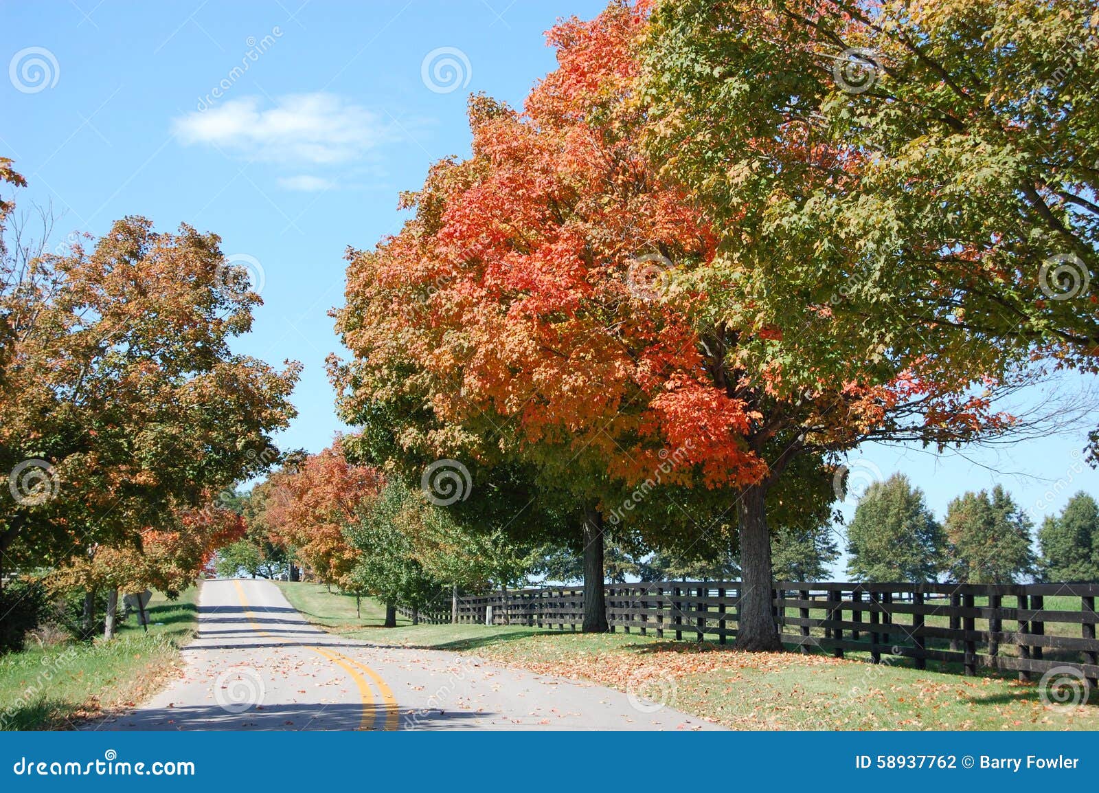 Fall stock photo. Image of fence, forest, landscape, blue - 58937762
