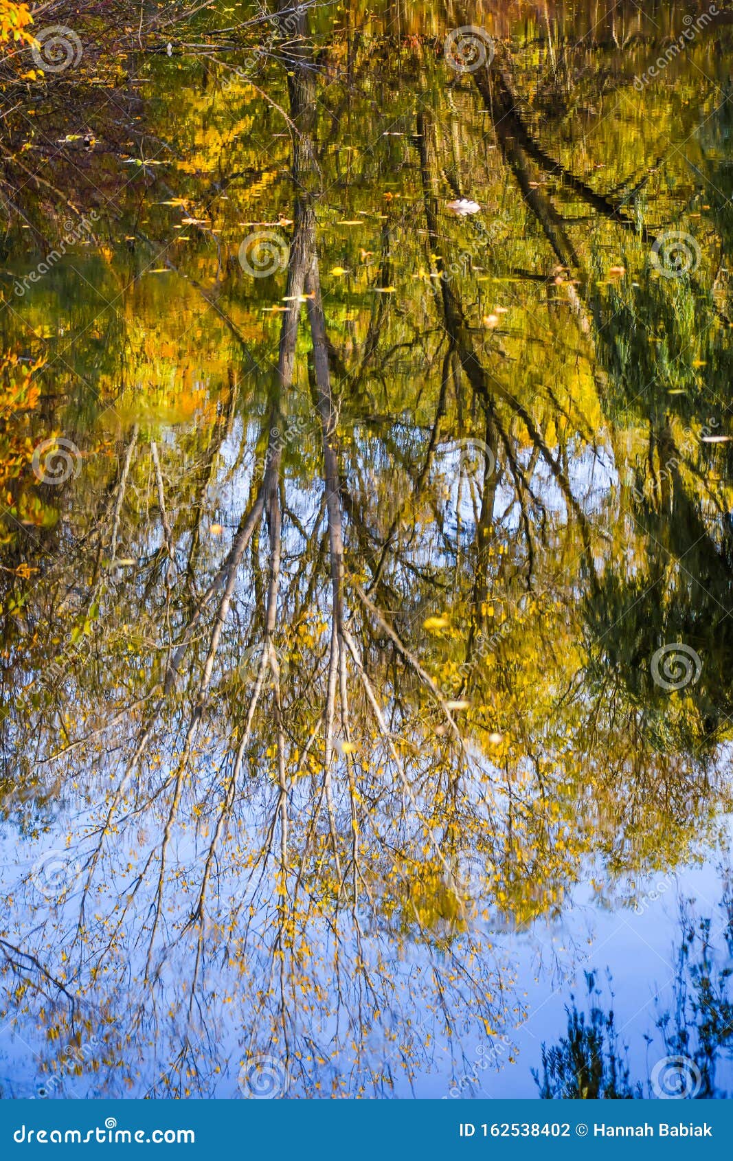 Fall Tree Reflections in Red River Stock Photo - Image of wisconsin ...
