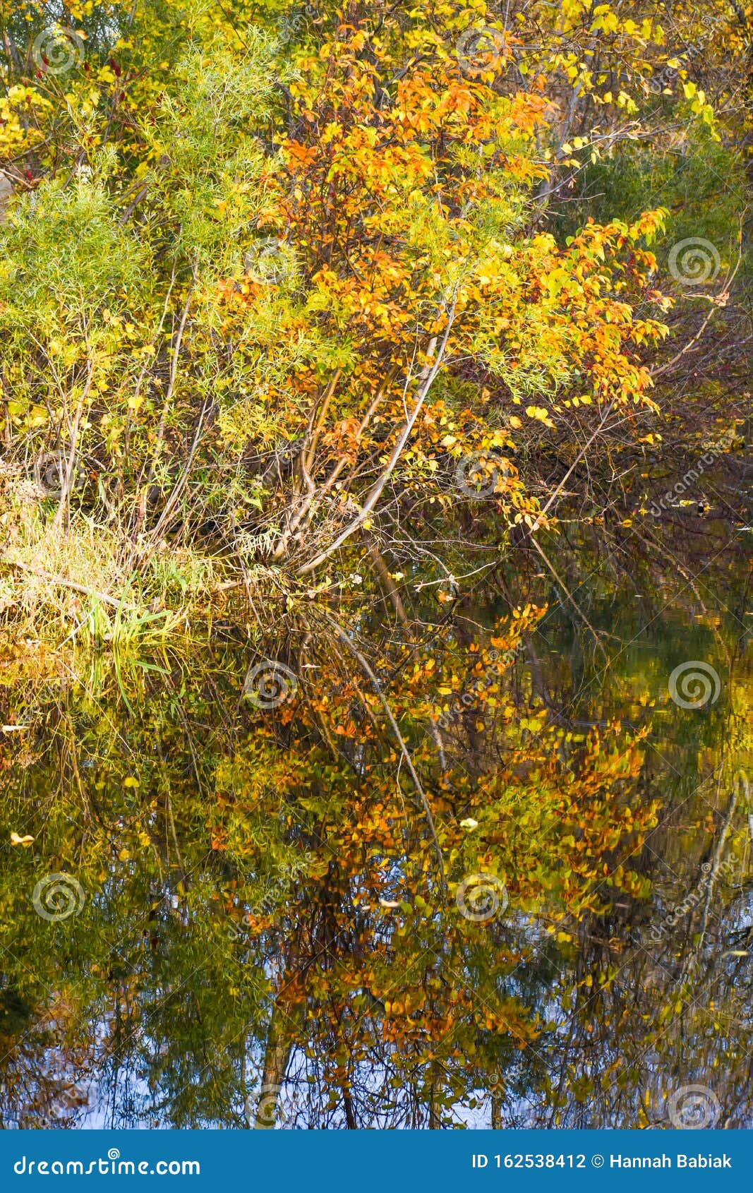 Fall Tree Reflections in Red River Stock Photo - Image of reflections ...