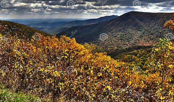 Fall Trees in the Blue Ridge Mountains. Stock Image - Image of high ...