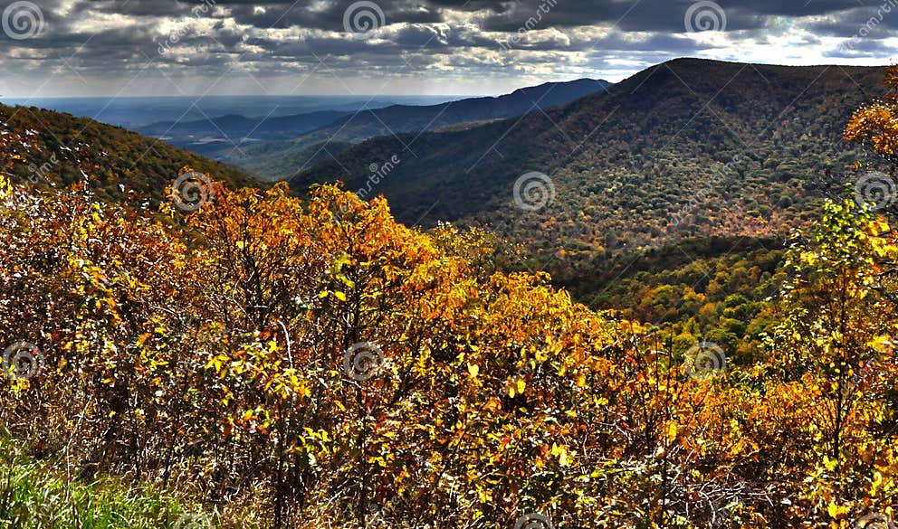 Fall Trees in the Blue Ridge Mountains. Stock Image - Image of high ...