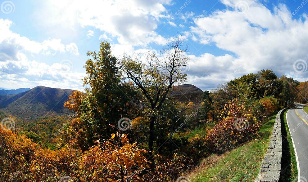 Fall Trees in the Blue Ridge Mountains Stock Image - Image of seasonal ...