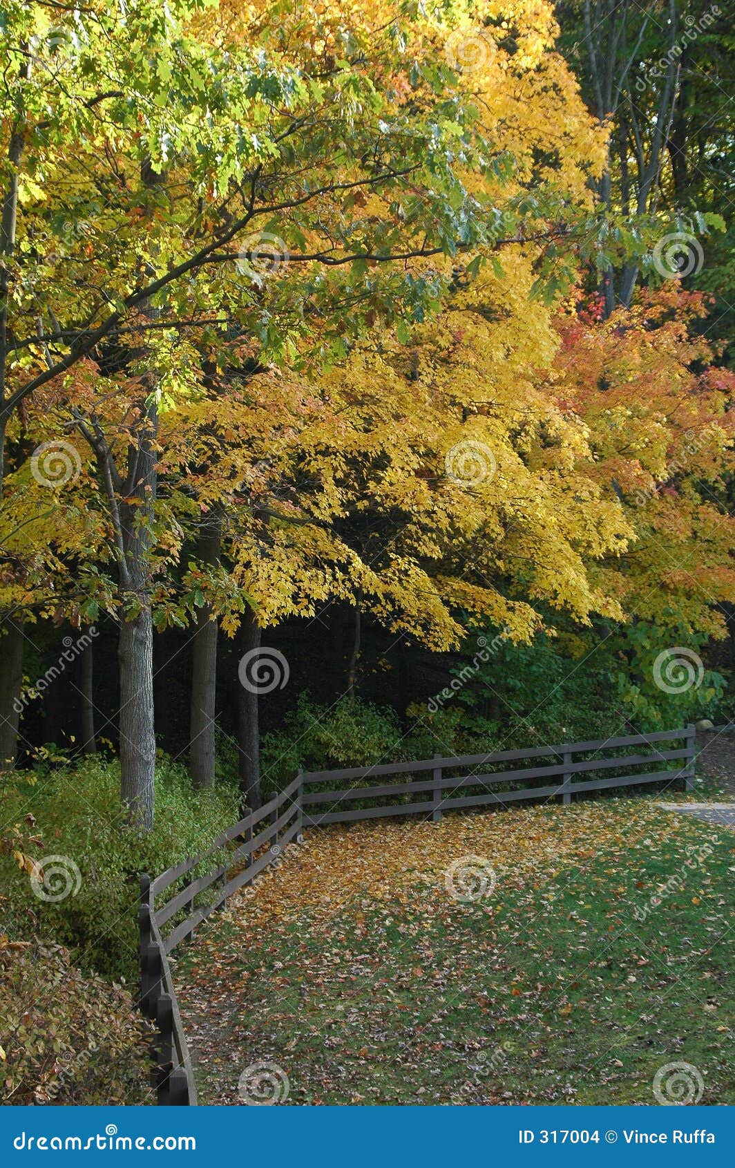Falling Anc Stock Photos - Free & Royalty-Free Stock Photos from Dreamstime