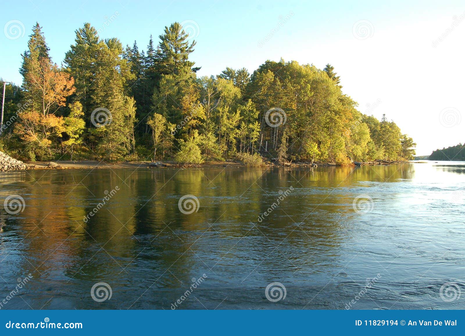 Fall trees close to water stock photo. Image of scenic - 11829194