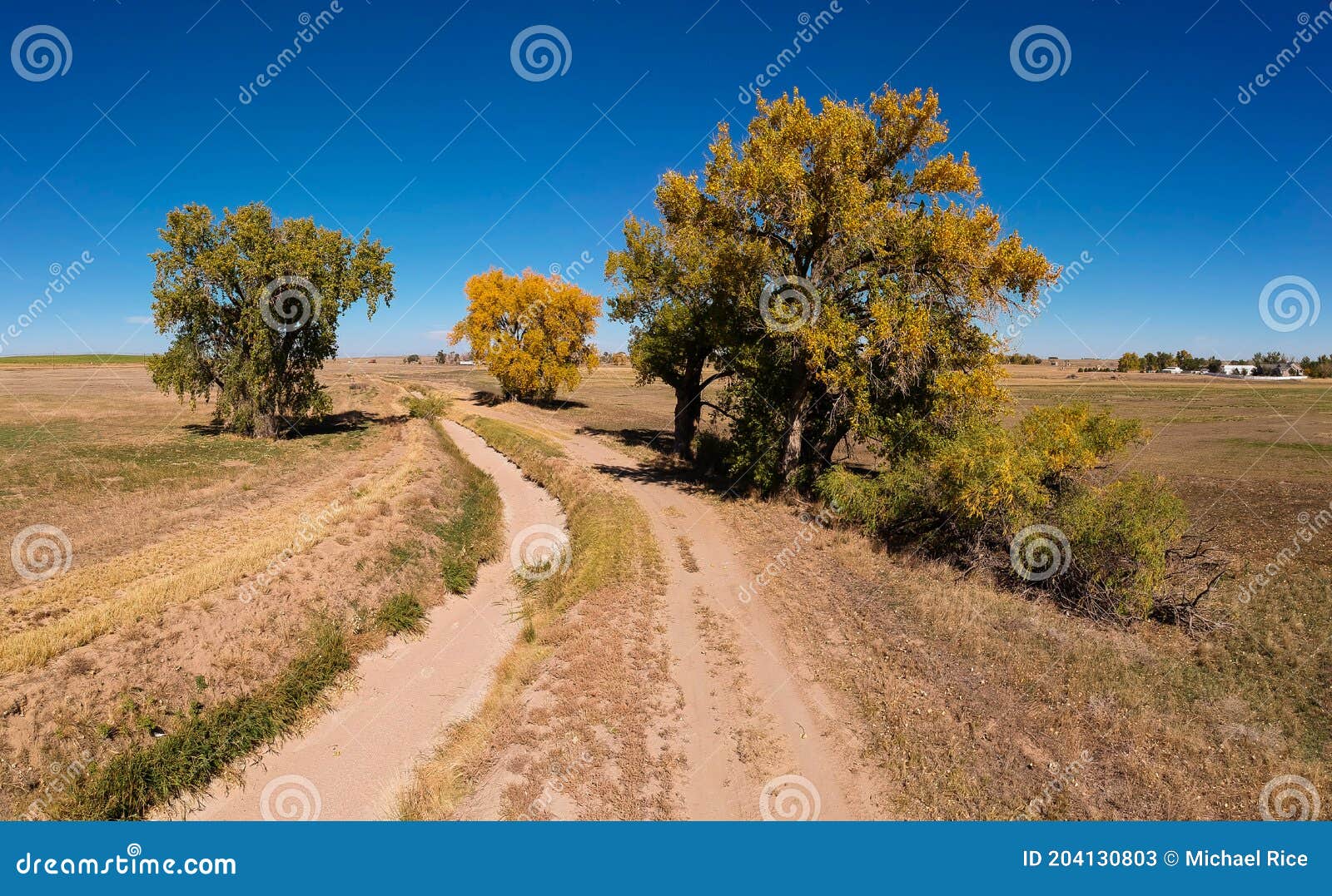 Fall Trees at Colorado Eastern Plains Stock Image - Image of farming ...