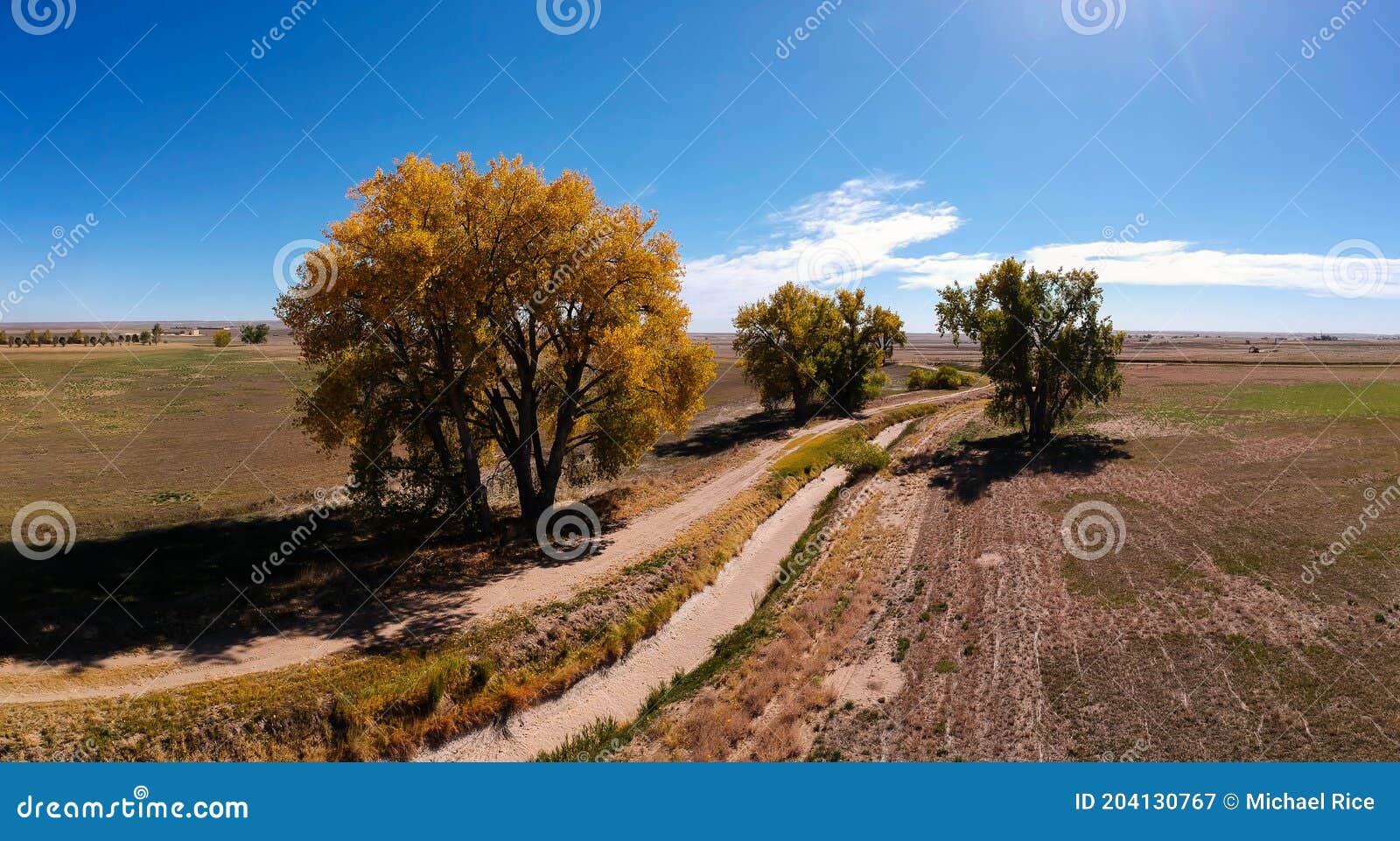 Fall Trees at Colorado Plains Stock Image - Image of great, agriculture ...