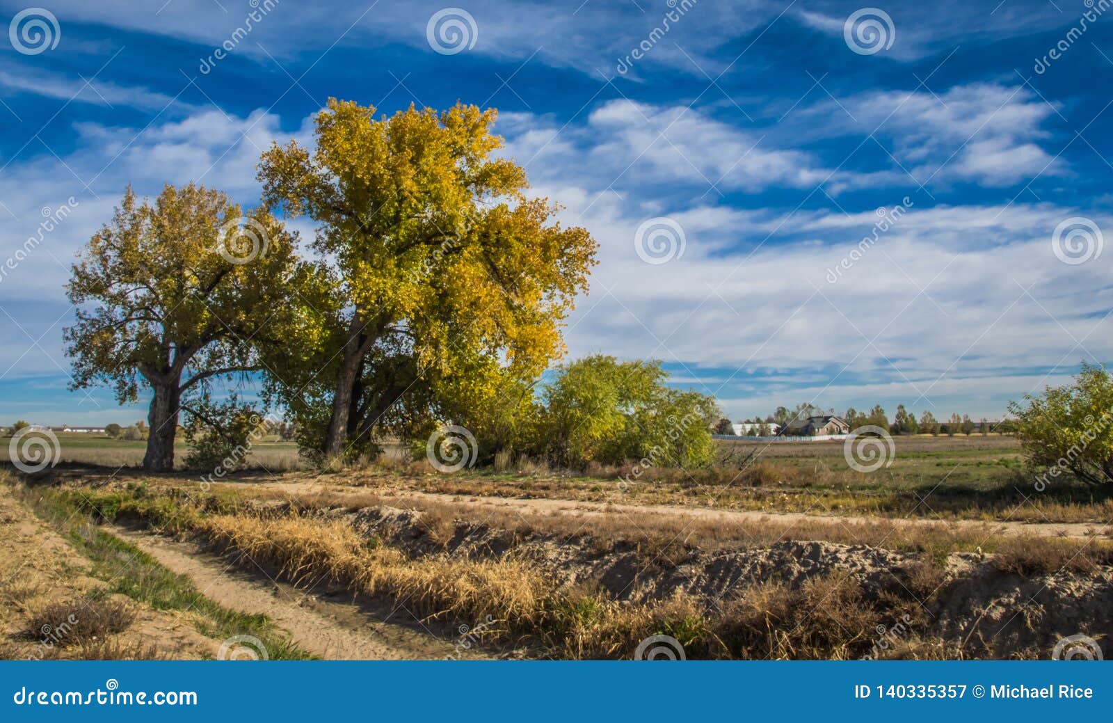 Fall trees by ditch stock image. Image of blue, outside - 140335357
