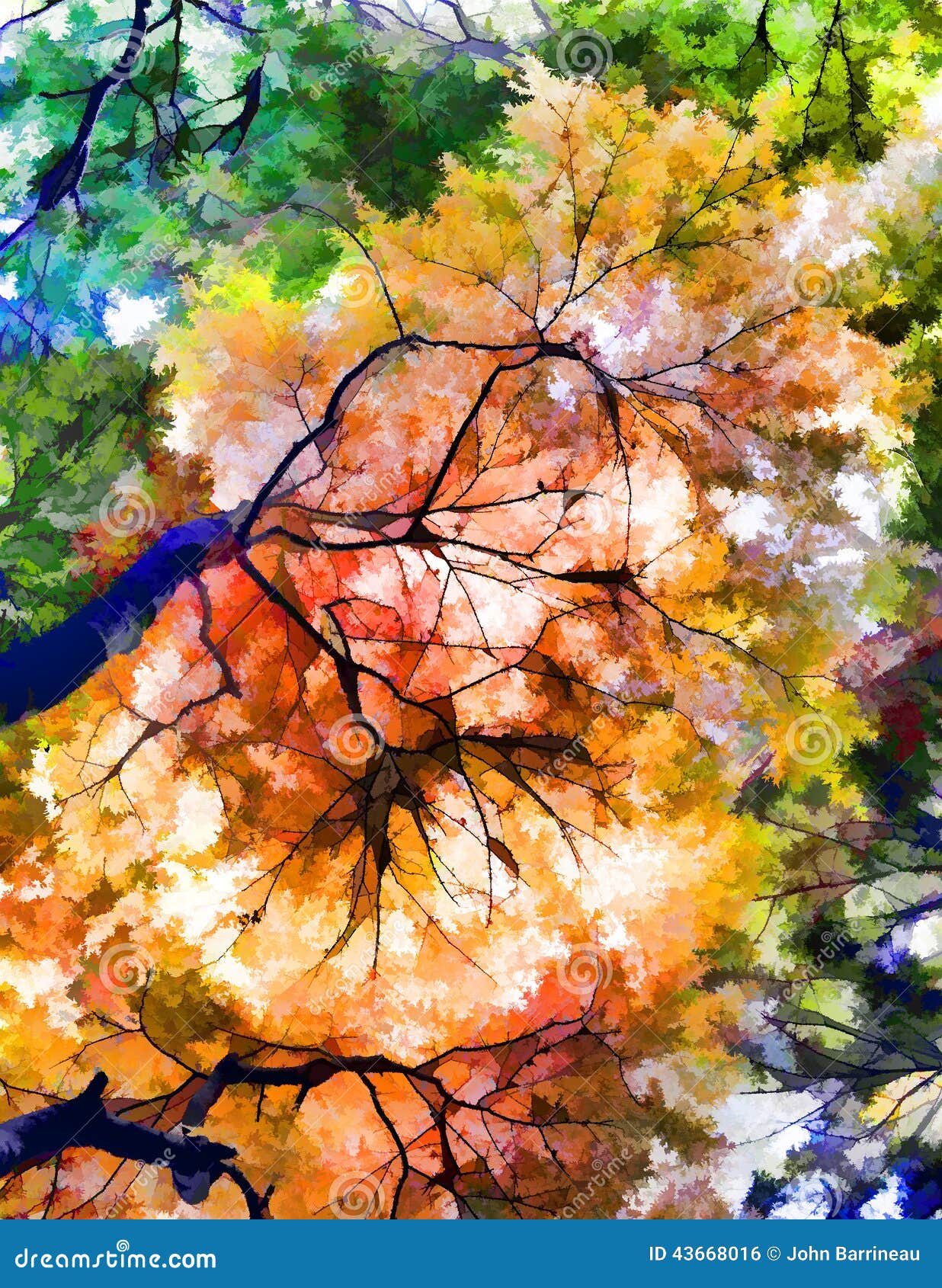 Fall Trees in Japan stock illustration. Illustration of trees - 43668016