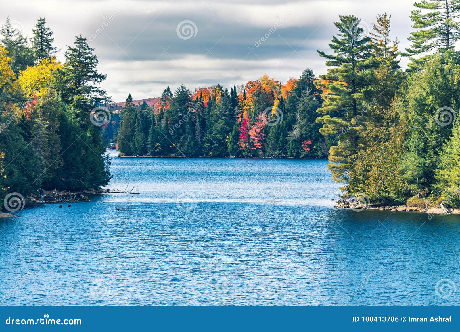 Fall trees with lake stock photo. Image of foliage, larch - 100413786
