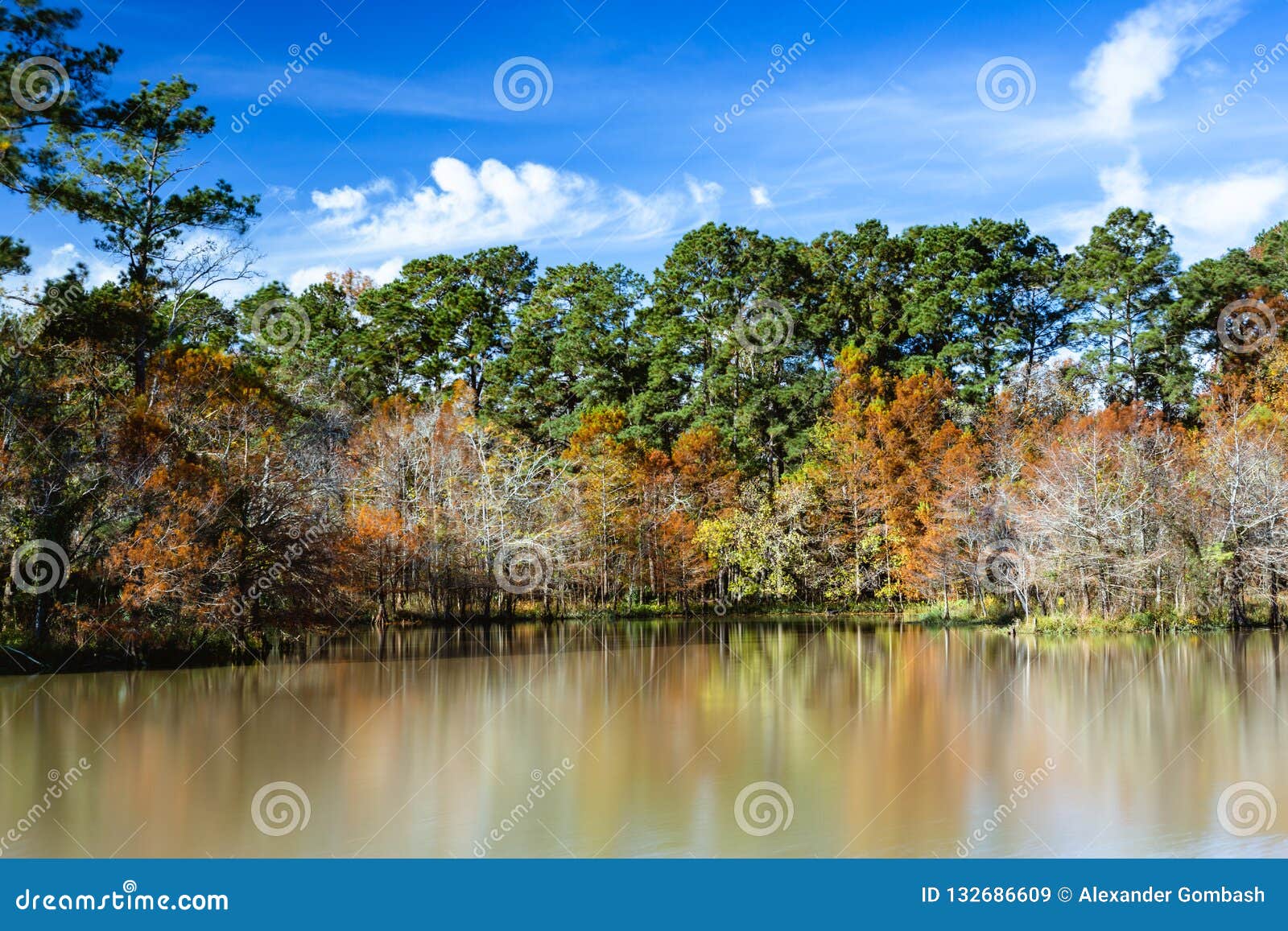 Fall trees on the lake stock image. Image of peaceful - 132686609
