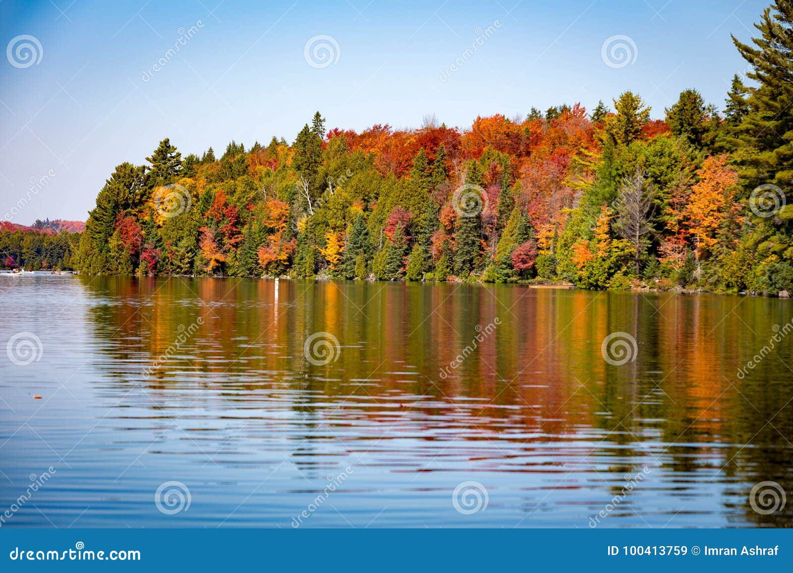 Fall trees with lake stock image. Image of lake, nature - 100413759