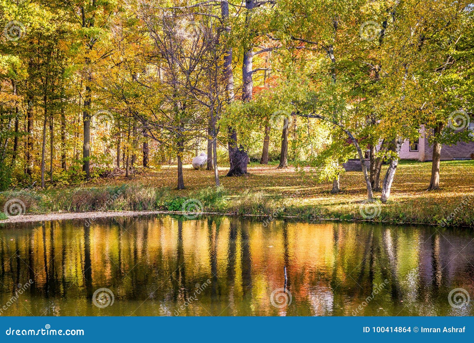 Fall trees with lake stock photo. Image of autumn, east - 100414864